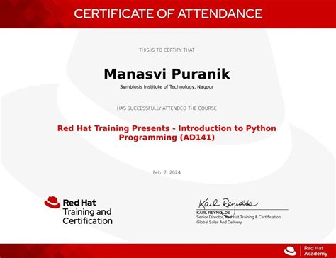 Manasvi Puranik On Linkedin Python Professionaldevelopment