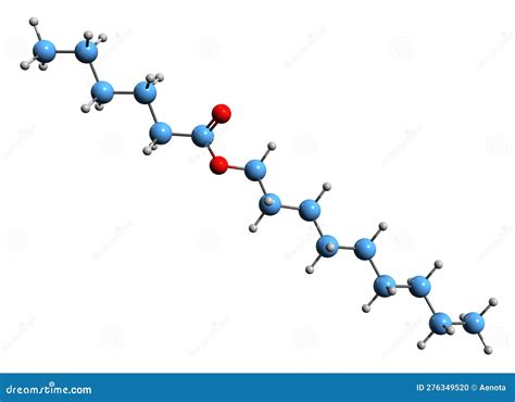 3d Image Of Nonyl Hexanoate Skeletal Formula Stock Illustration Illustration Of Biology