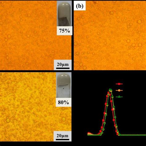 Yong Qian Phd South China University Of Technology Guangzhou Scut Department Of
