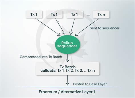 August 2023 Blockchain Rollups Explained Mapleblockcapital