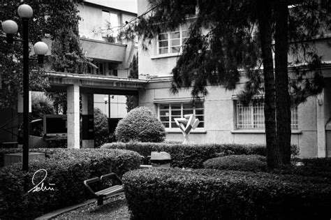 از نظر من هر کسی یک دوران طلایی توی جنبه های مختلف زندگیش داره مثلا توی