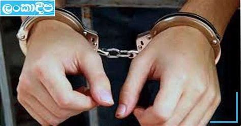 මිද්දෙණිය පිය පුතු දියණිය ඝාතනය උණ්ඩ දුන් පී සී මාට්ටු Lankadeepa Online