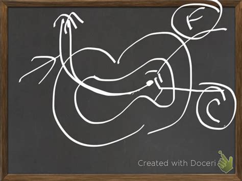 Functional Integrative Rehabilitation Education The Trigeminocervical