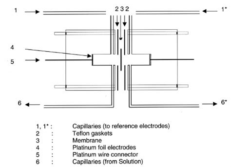Conductivity Measurement Cell Download Scientific Diagram