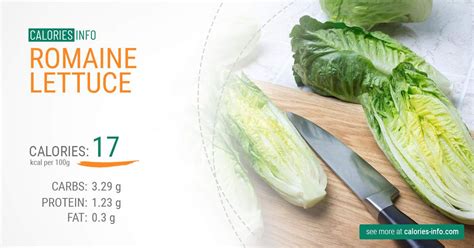 Romaine Lettuce Carbs At Tia Curtis Blog