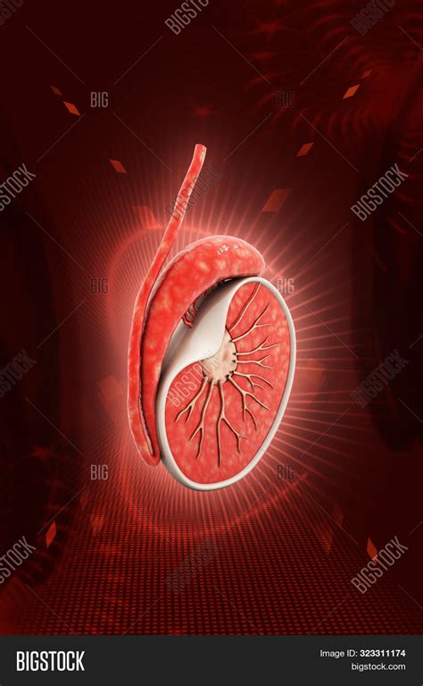 3d rendered cross image and photo free trial bigstock