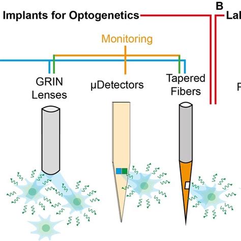 Examples Of Off Chip And On Chip Photonics Used For Planar Neural