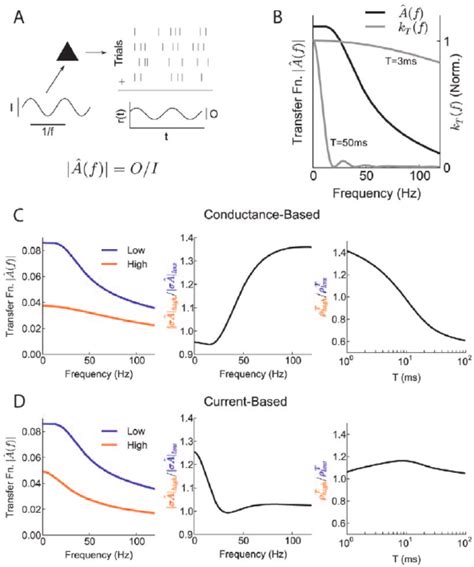 Relating Correlation Shaping To Single Neuron Transfer A Illustration