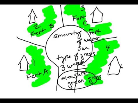 What Is A Constant In Science