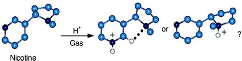 Simplified schematic representation of the protonation process of the ...