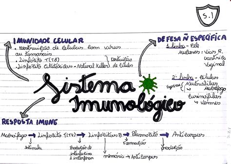 Exercícios Sobre Sistema Imunológico Braincp