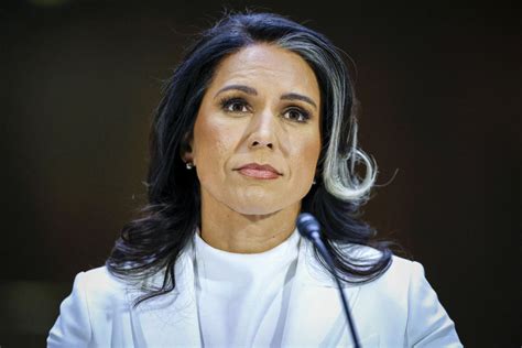 Tulsi Gabbard Launches Investigation Into Leaks At Spy Agencies