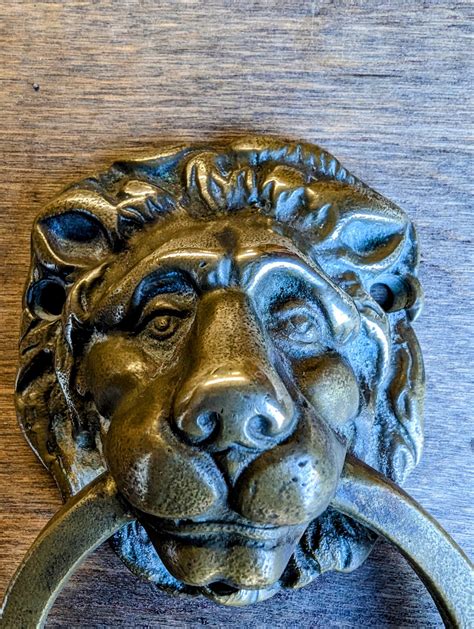 Brass Lion Door Knocker Salvage Hound