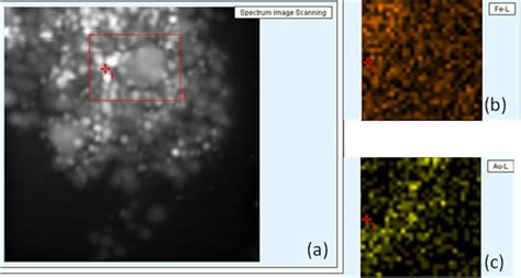 Figure S4 Stem Dark Field Image A And Elemental Maps Of Catalyst 4
