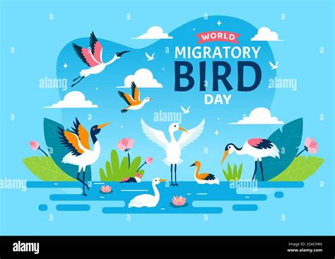 World Migratory Bird Day Vector Illustration With Birds Migrations