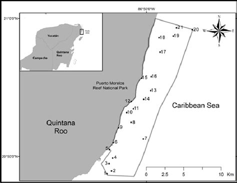 Puerto Morelos Area Map