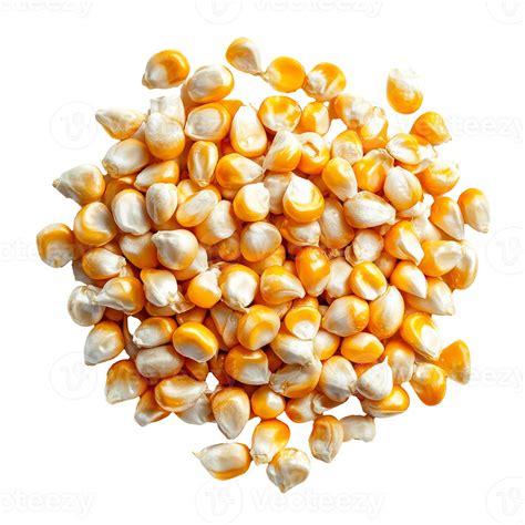Neat Pile Of Corn Kernels On White 52652289 Png