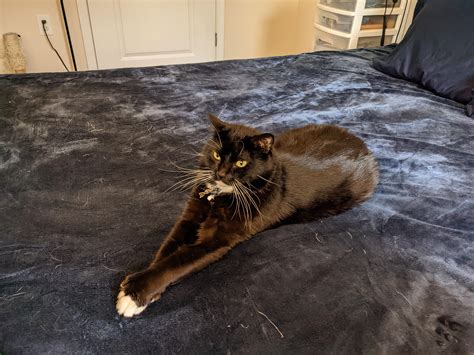 652 Best R Straightenedfeetsies Images On Pholder Four Straightened