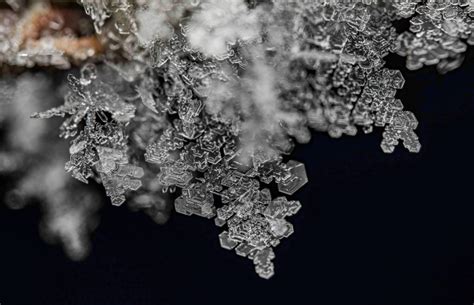 Rime Hoar Snow Ice