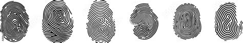 Fingerprint Vector Set Identity Biometric System Security Id