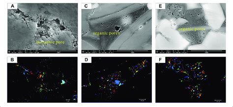 Microphotographs Showing Main Pore Types And Distribution