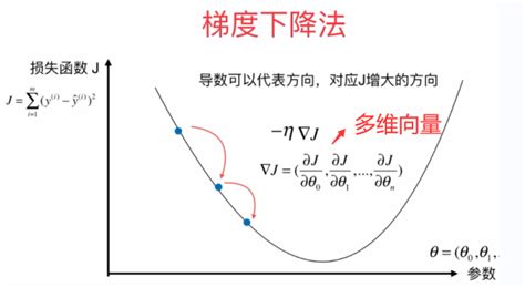 【机器学习 6】：梯度下降法（第一篇）梯度下降中把所有分量的导数累加起来 Csdn博客