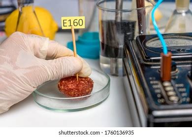 Laboratory Bread Crumbs Images Stock Photos And Vectors Shutterstock