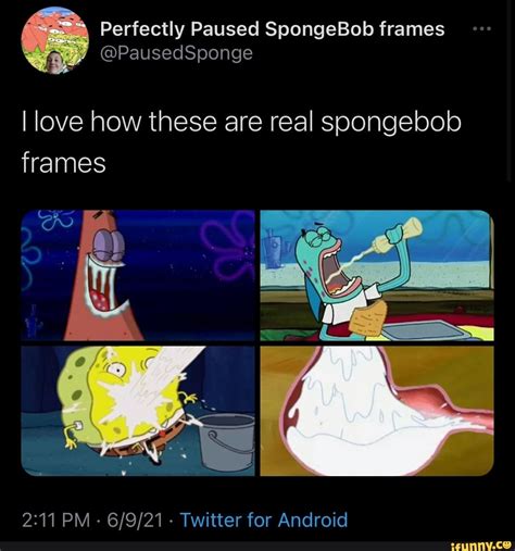 Perfectly Paused Spongebob Frames I Love How These Are Real Soongebob