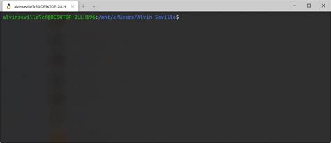 Erroneous Text Formatting And Wrapping After Window Resize Issue Microsoft Terminal