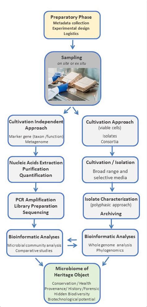 Figure E Schematic Representation Of The Main Modules Of A Standardized