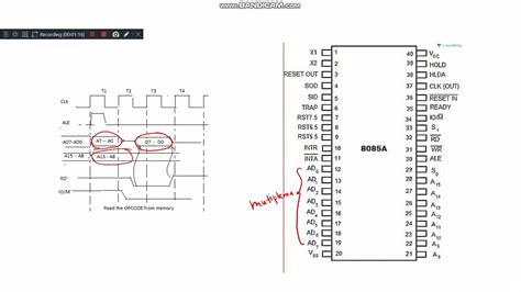 Multiplexing And Demultiplexing Address Data Bus In 8085 Detailed Explanation Microprocessor