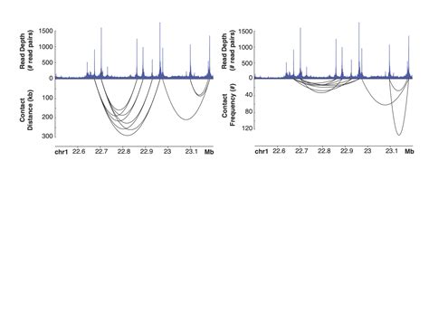 Plotting Hichip Data — Hichip 0 1 Documentation