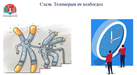 Мэдлээ Цахим контент