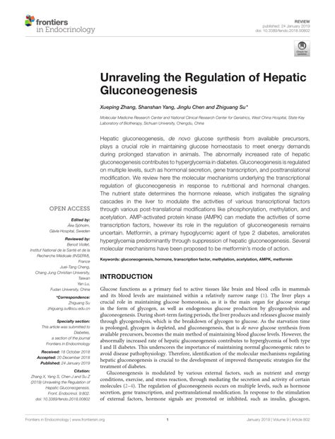 Pdf Unraveling The Regulation Of Hepatic Gluconeogenesis