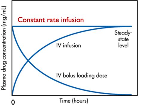 Iv Infusion Pbk Flashcards Quizlet