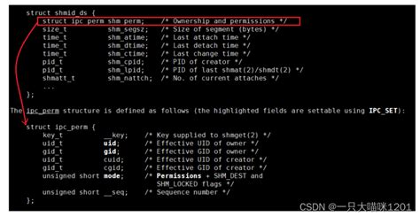 【linux学习】进程间通信——system v 共享内存 消息队列 信号量 csdn博客