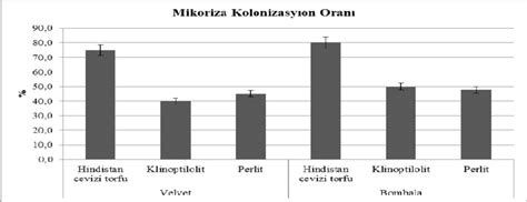 Effects Of Cultivar X Substrate Interaction On Mycorrhiza Colonization