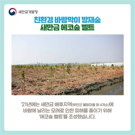 대한민국 새만금개발청 모래날림 염분은 이제 안녕~ 친환경 바람막이 방재숲 🌳 ㅤ 바람에 날리는 Facebook