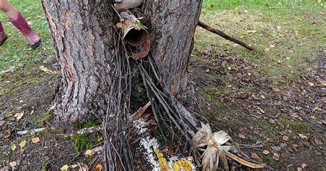 Dragon Den Album On Imgur