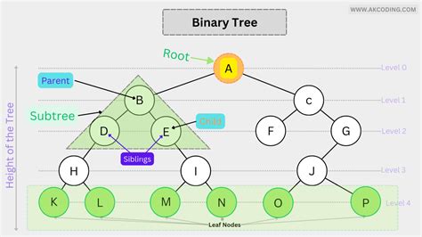 Comprehensive Guide To Binary Tree Types Structures Applications