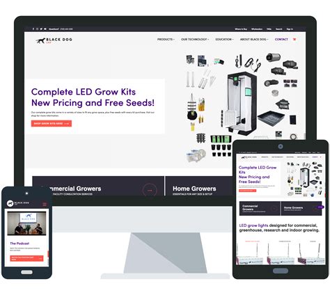 cadence labs ecommerce design and development in boulder colorado