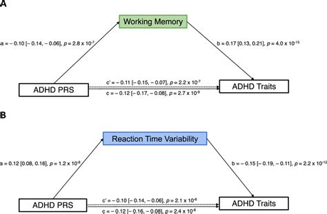 The Relationship Between Adhd Prs And Adhd Traits Is Partially Mediated Download Scientific