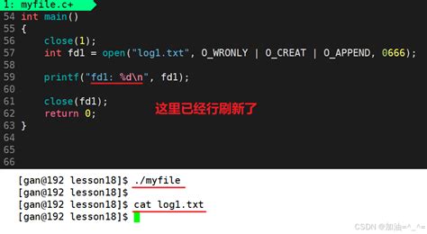 【linux】文件操作 文件描述符 文件缓冲区 文件重定向 一 linux 文件描述符l csdn博客
