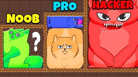 NOOB Vs PRO Vs HACKER Puzzle Cats YouTube