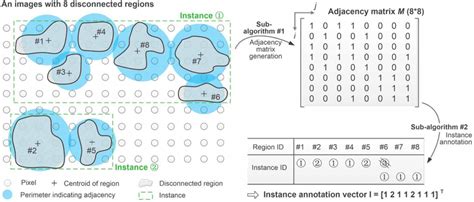 Schematic Diagram Illustrating The General Procedure Of Instance