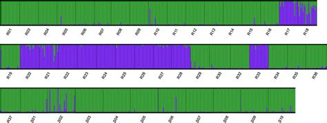 Structure Results Plotted Using Distruct V11 For Genetic Structure