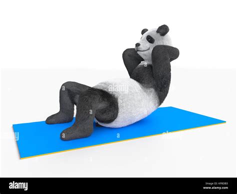 What Is A Trunk Curl At Albert Pietsch Blog