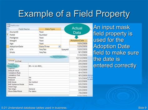 Data Types And Field Properties Ppt