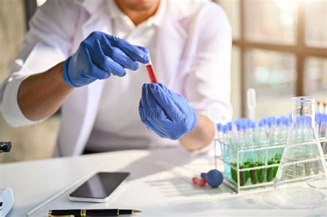 Professional Male Scientist Or Chemist Working In The Forensic Science Laboratory Cropped Shot
