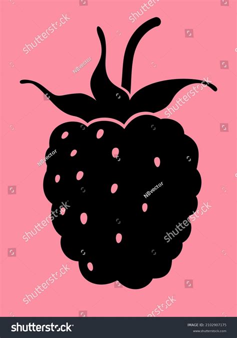 Raspberry Silhouette Over 8144 Royalty Free Licensable Stock Vectors